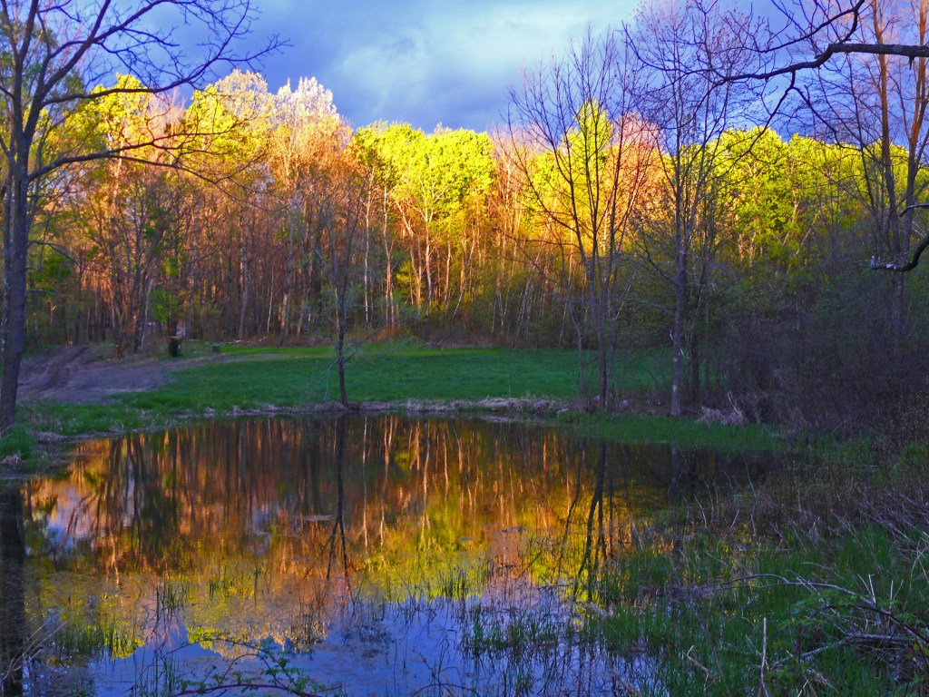 And They All Fall Down… and Become Just a Memory… Too Fast… the ...